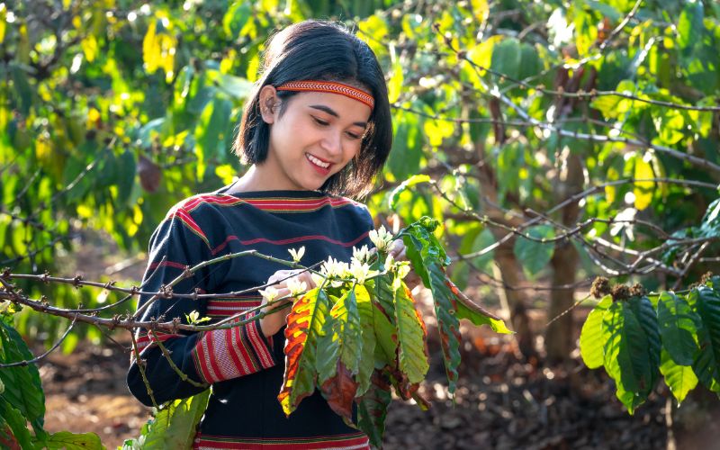 dalat tribes tour vn discovery | VN Discovery